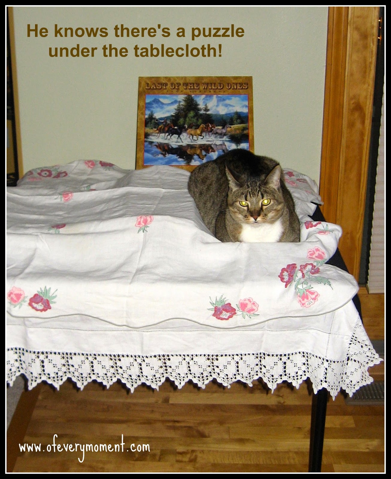 It's a Puzzle | the most - - of every moment