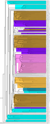 KurdishDNA: R1a1a comparison STR111 Part II