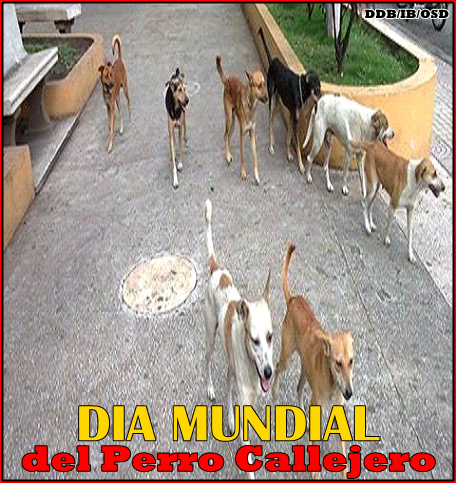 .: DIA MUNDIAL DEL PERRO VIRALATA! Hoy honramos a todos esos animales ...