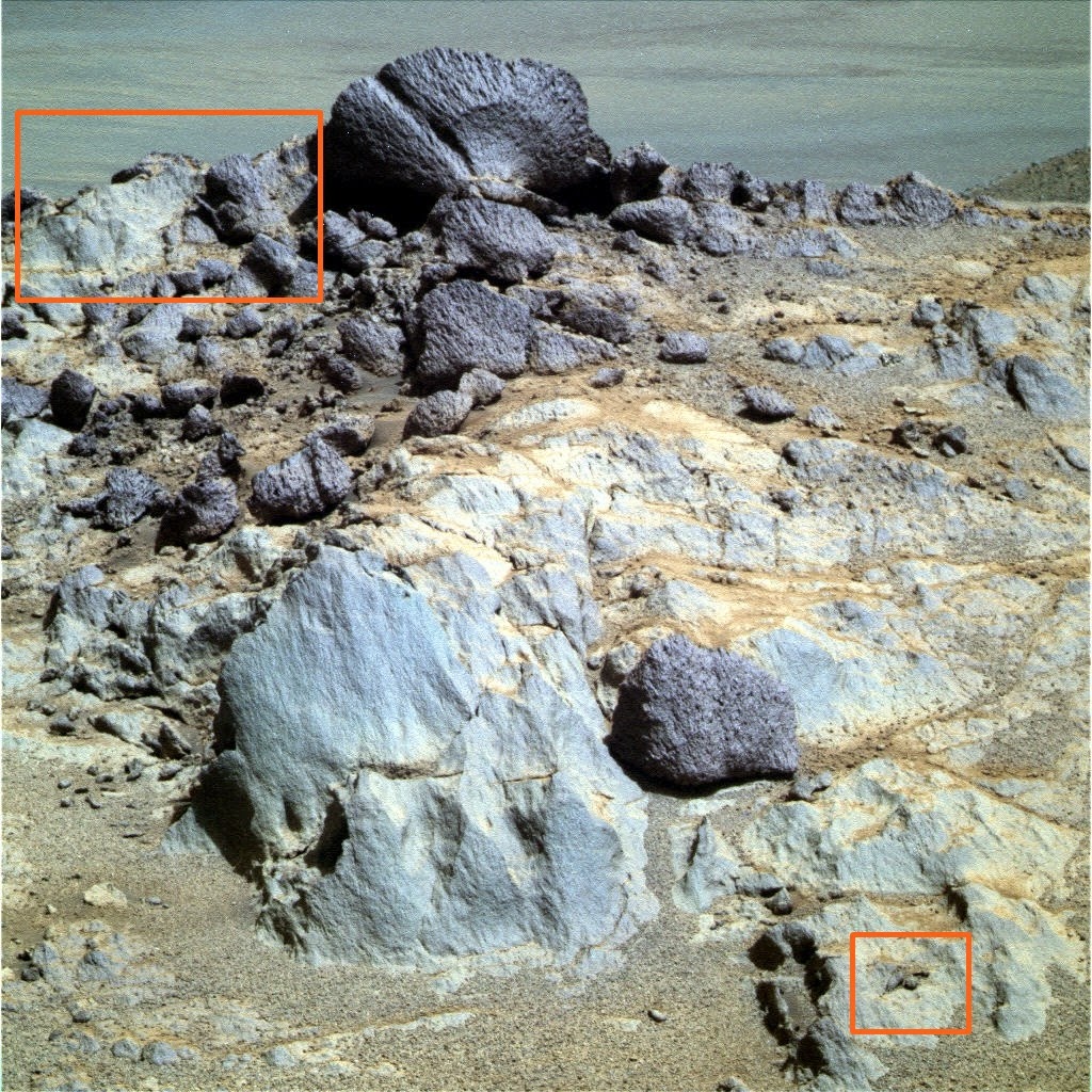 Mars Rover Opportunity photo shows Dead Bird and Fossilized Horned Animal