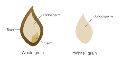 The Health-Nut Corner: Grain Confusion Part 2: Whole-Grains