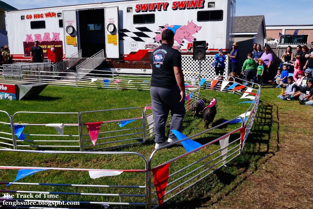 Big E 2016 - Swifty Swine Racing Pigs | The Track of Time