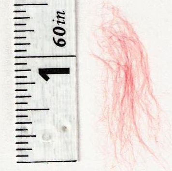 Ginning, Lint, Linters ~ TextileBd