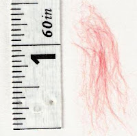 Ginning, Lint, Linters ~ TextileBd