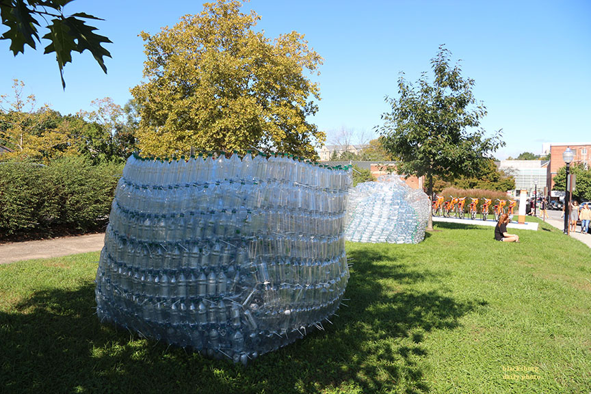 Blacksburgdailyphoto: Art using recycling