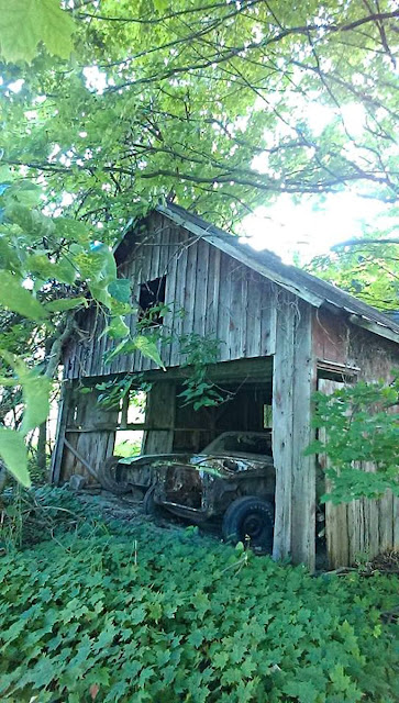 Just A Car Guy: epitomy of a barn find