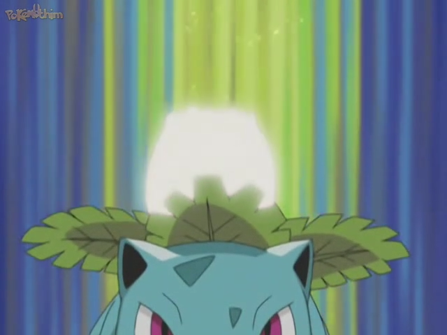 Poké-Arquivo: 002 - Ivysaur ↳ Animes ~ PMD || Acervo de Imagens de ...