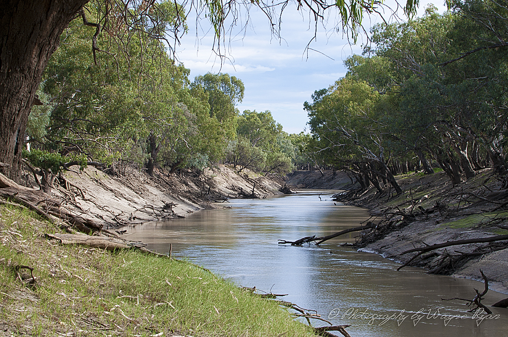 Wayne Ryan's blog: May 2013