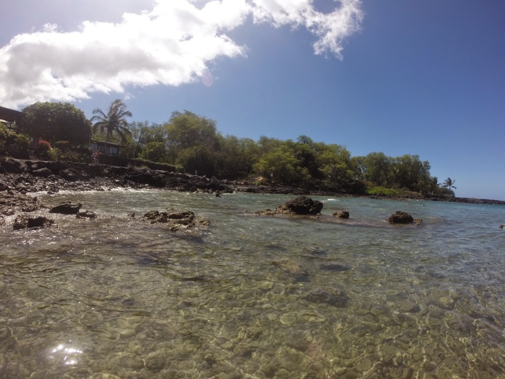 Observations of the Practical Kind: 2014