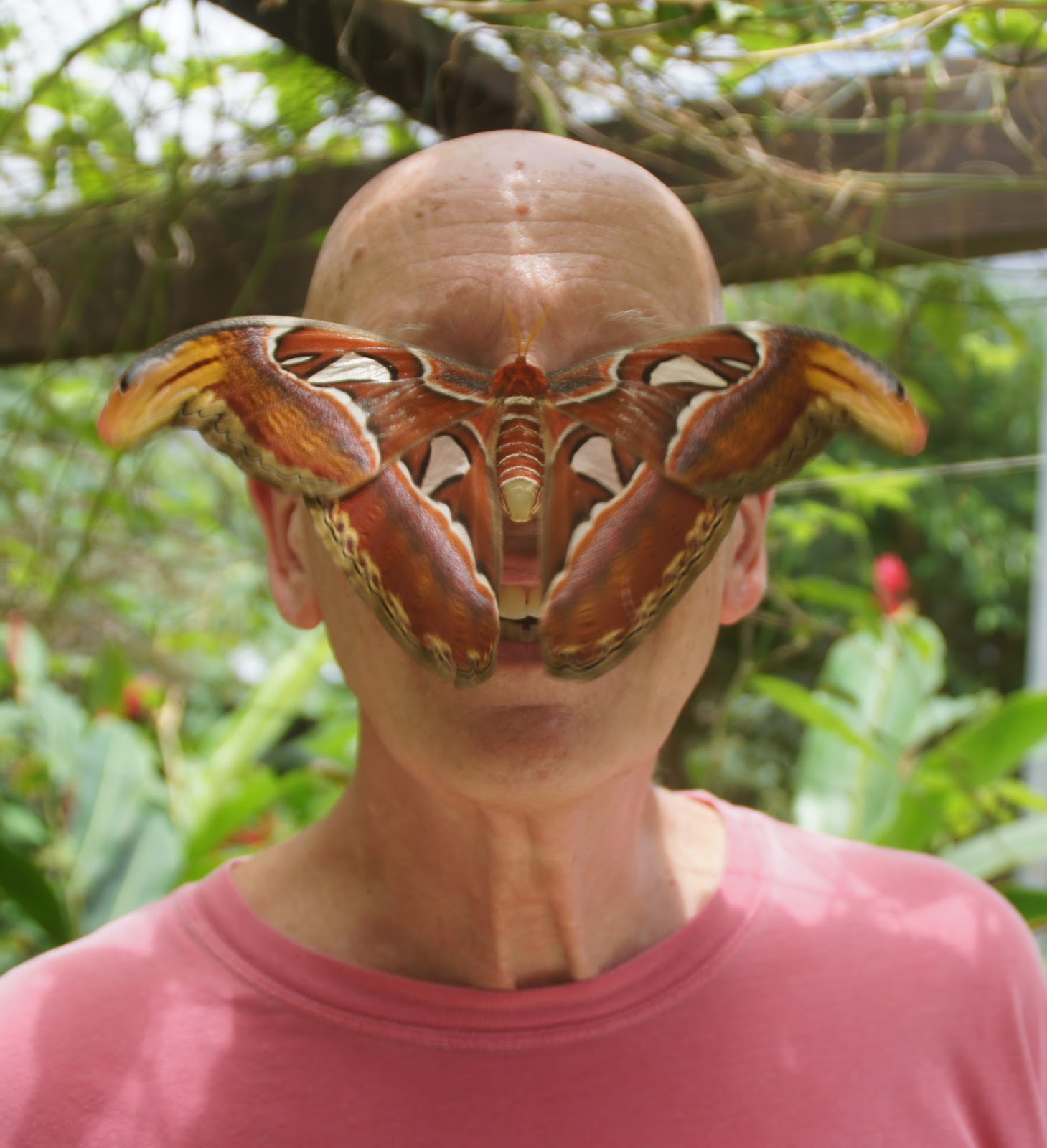 Extraordinary Stories From An Ordinary Guy: The "Attack Of The Giant ...