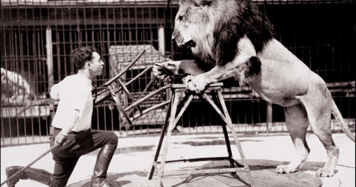 Buckles Blog: CLYDE #5