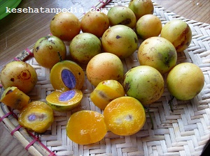 Manfaat Buah Gandaria untuk Kesehatan Tubuh - kesehatanpedia