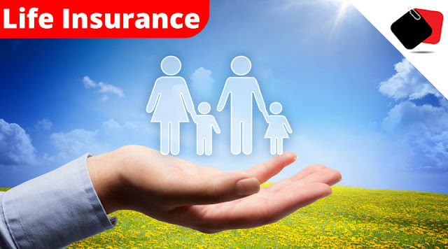 Convertible Term Life Insurance Rates - Online Insurance Advices