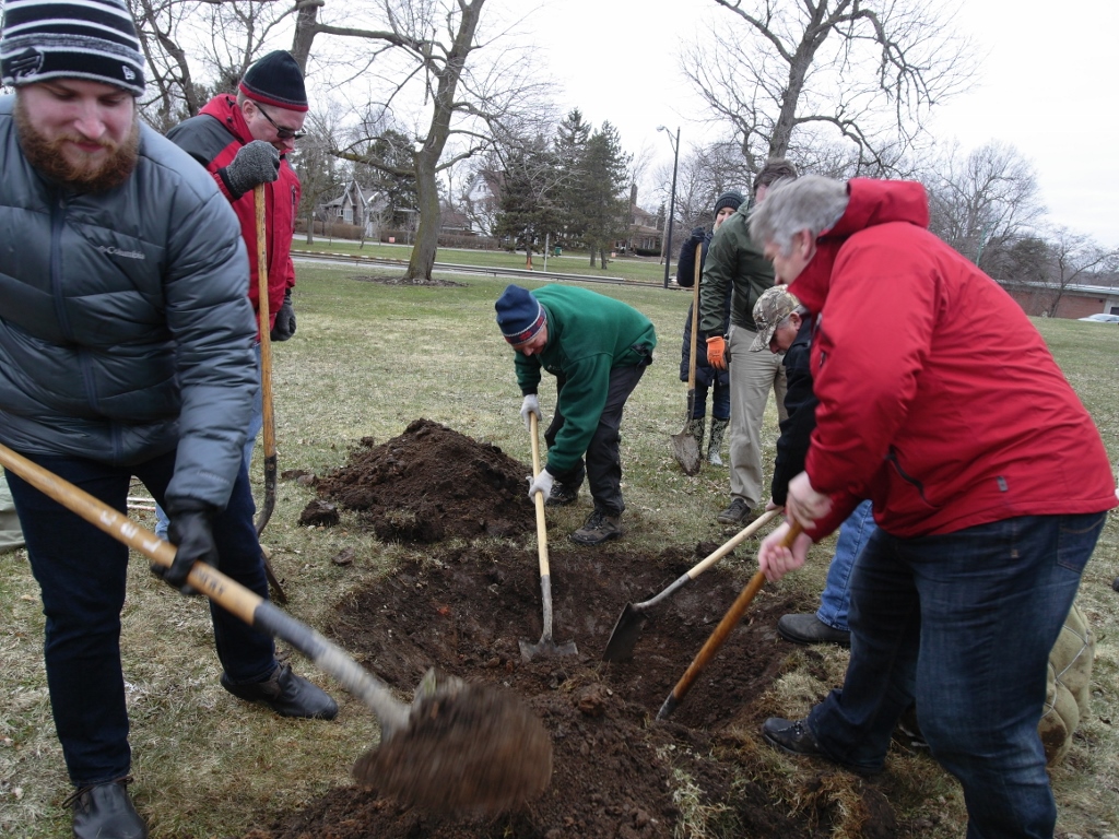 O is for oak tree planting – Sun, Moon, Stars (Alice's Grand Adventures)