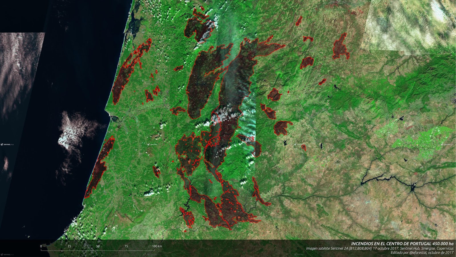 450.000 hectáreas quemadas en el centro de Portugal – Impresiones de un ...