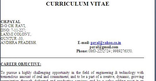 resume format for interview