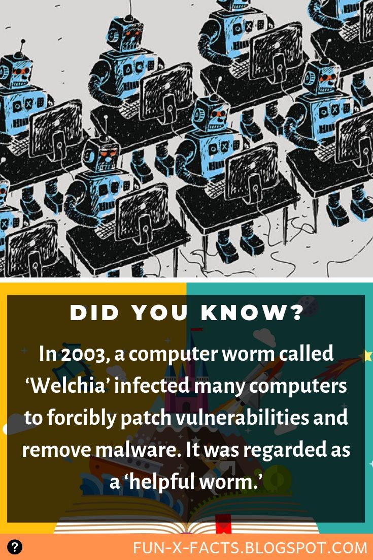 Interesting Fun Fact About Helpful Computer Worm Virus | Amazing WTF Facts