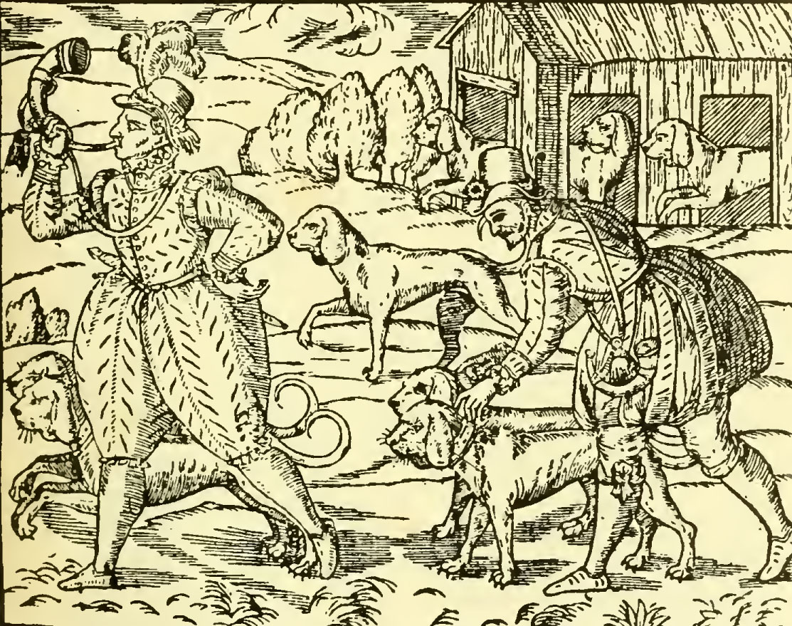 Dog Law Reporter: The Hunting Hounds of Queen Elizabeth I
