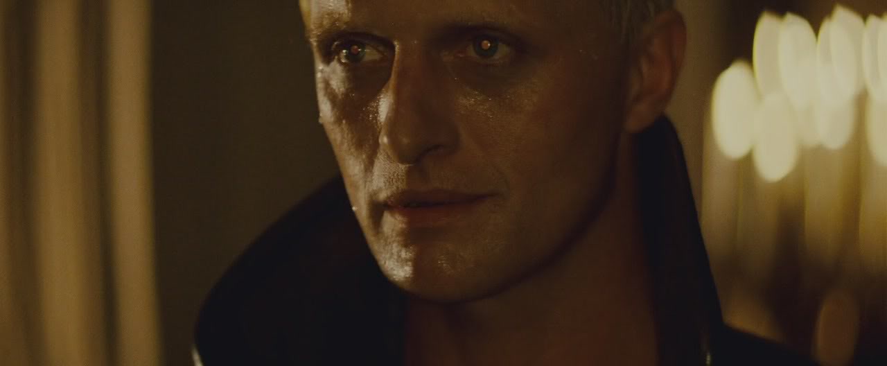 Flooby Nooby: The Cinematography of “Blade Runner”