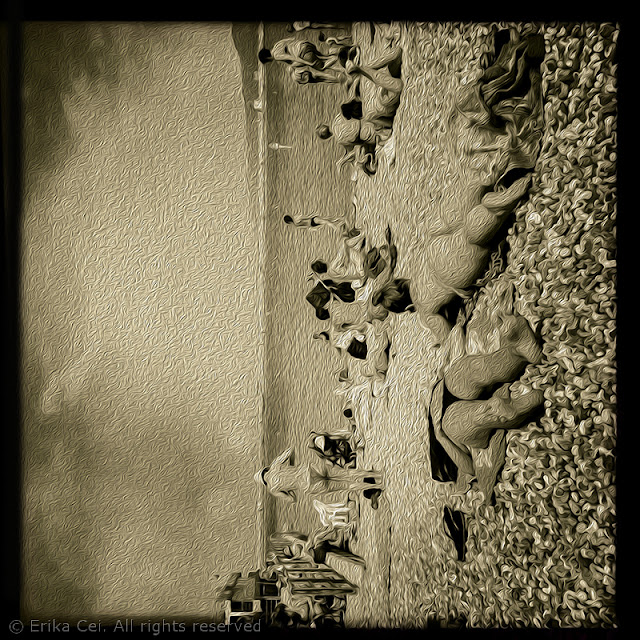 "El Pedocin", a separate beach for women and men - Photofrasando