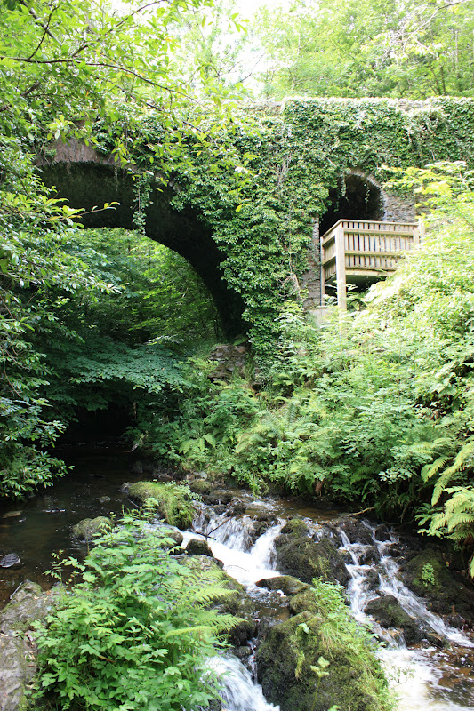 Our Cottage Garden & Country Living: Dun a Ri Forest Park