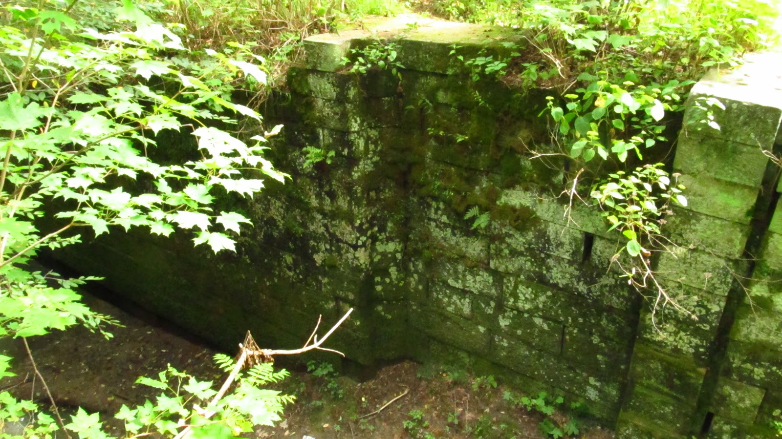 Old Industry of Southwestern Pennsylvania : Sandy & Beaver Canal