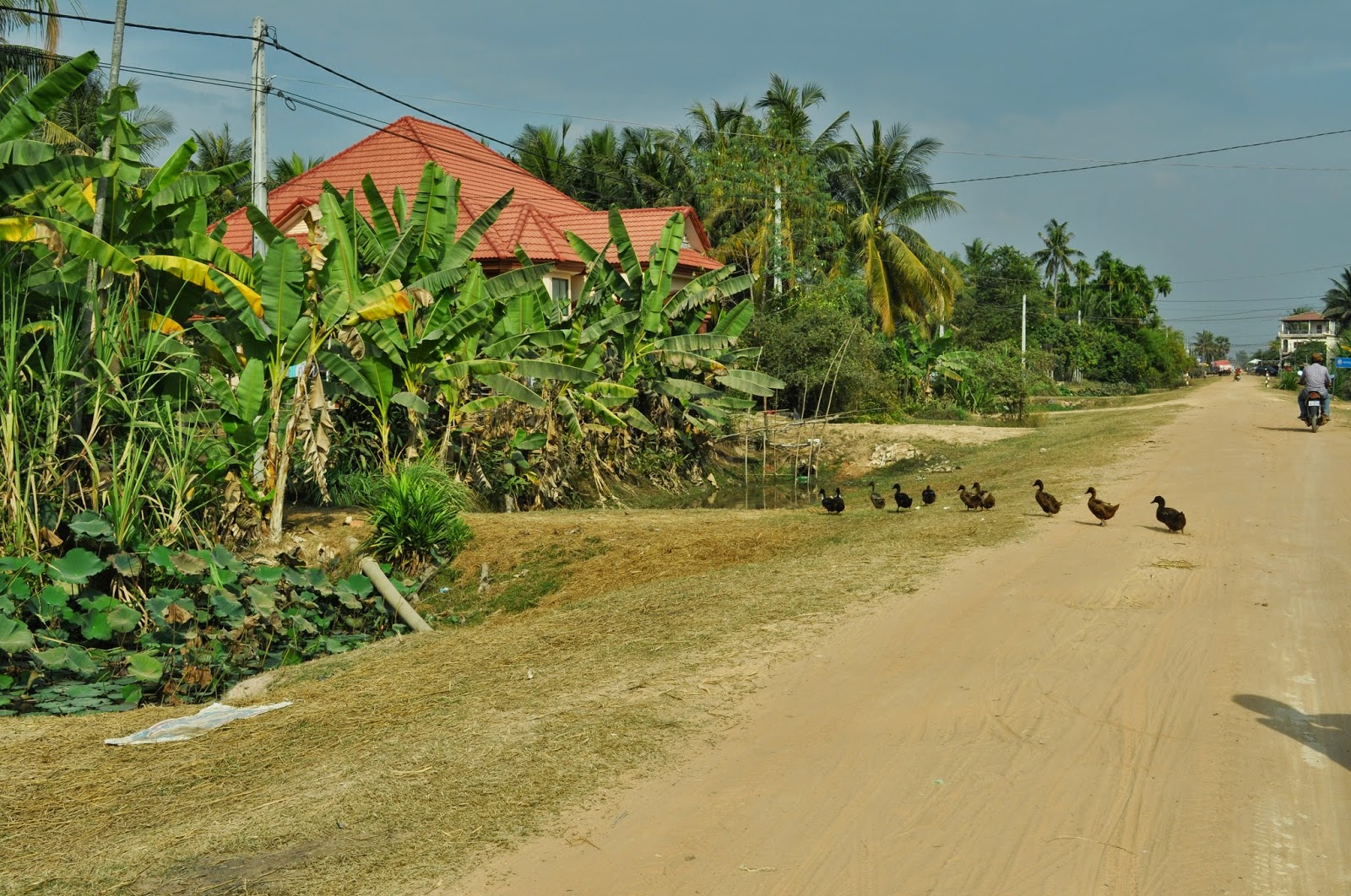 Pleasurable Pursuits: Cambodian Countryside Tour