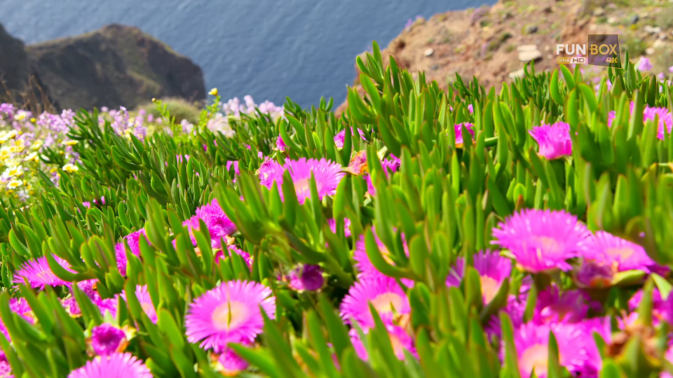 SPI International kanali - Page 17 - Radio TV Forum