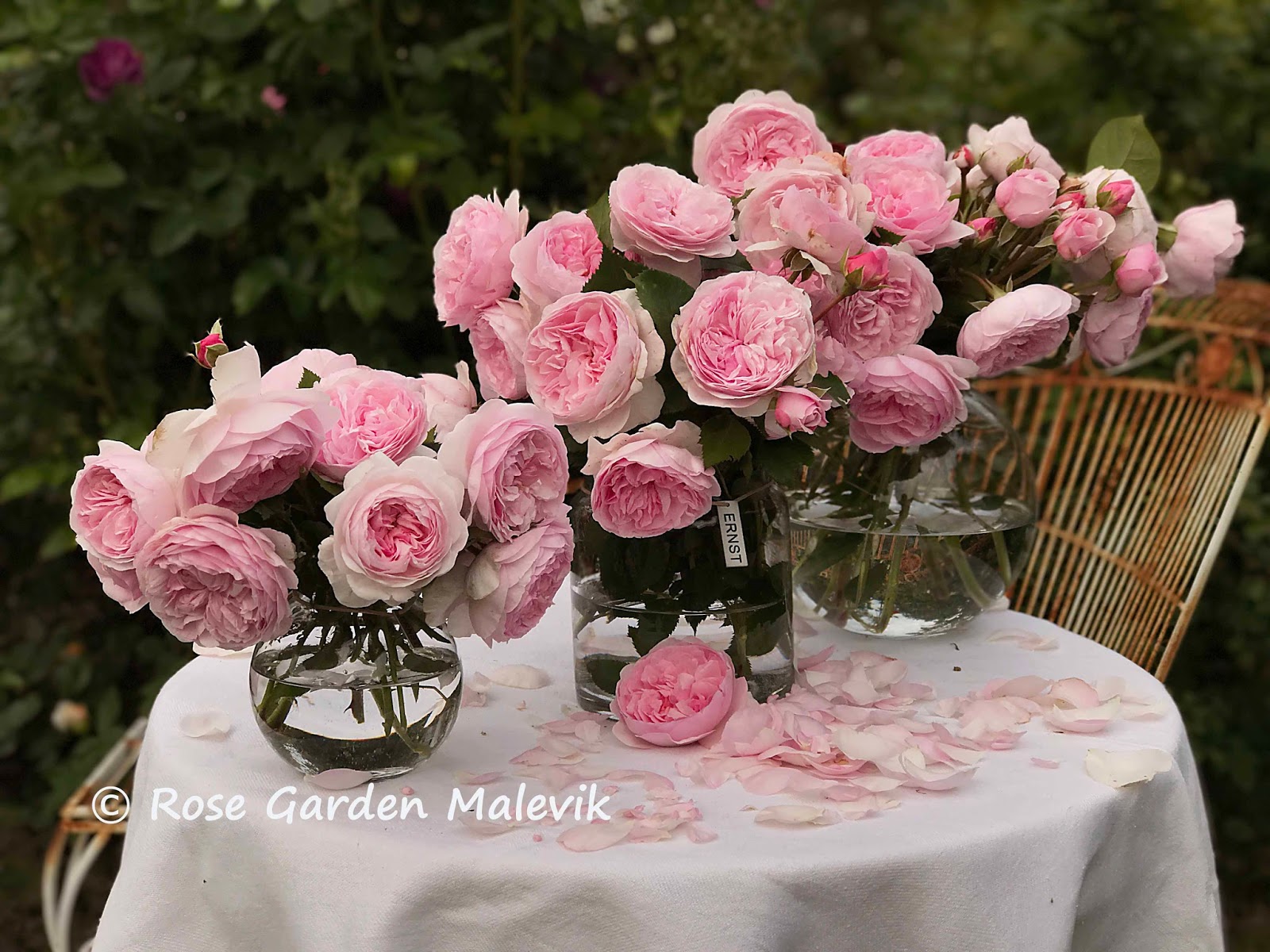 ROSE GARDEN Malevik: I det Enkla bor...... ~ Flowerarrangement with ...