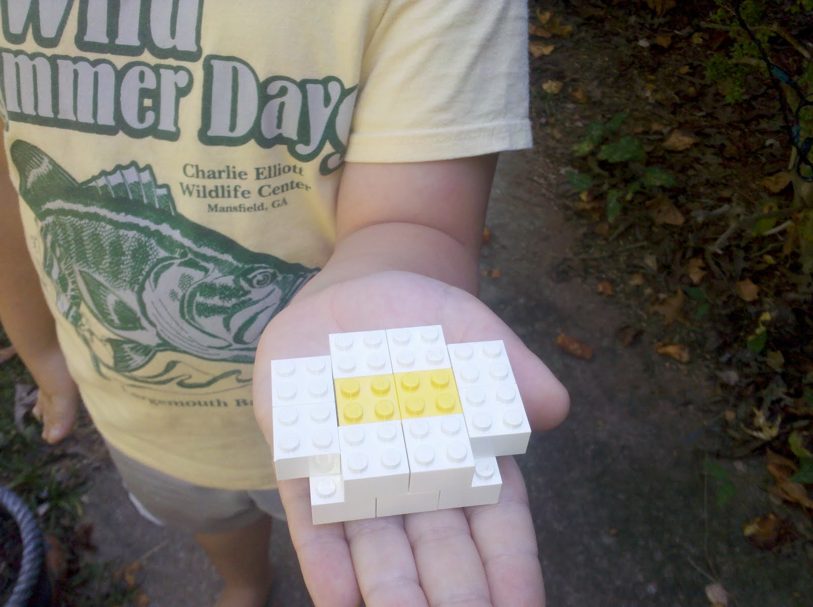 LEGO Quest Kids: 2x2 Bricks Only - Photos