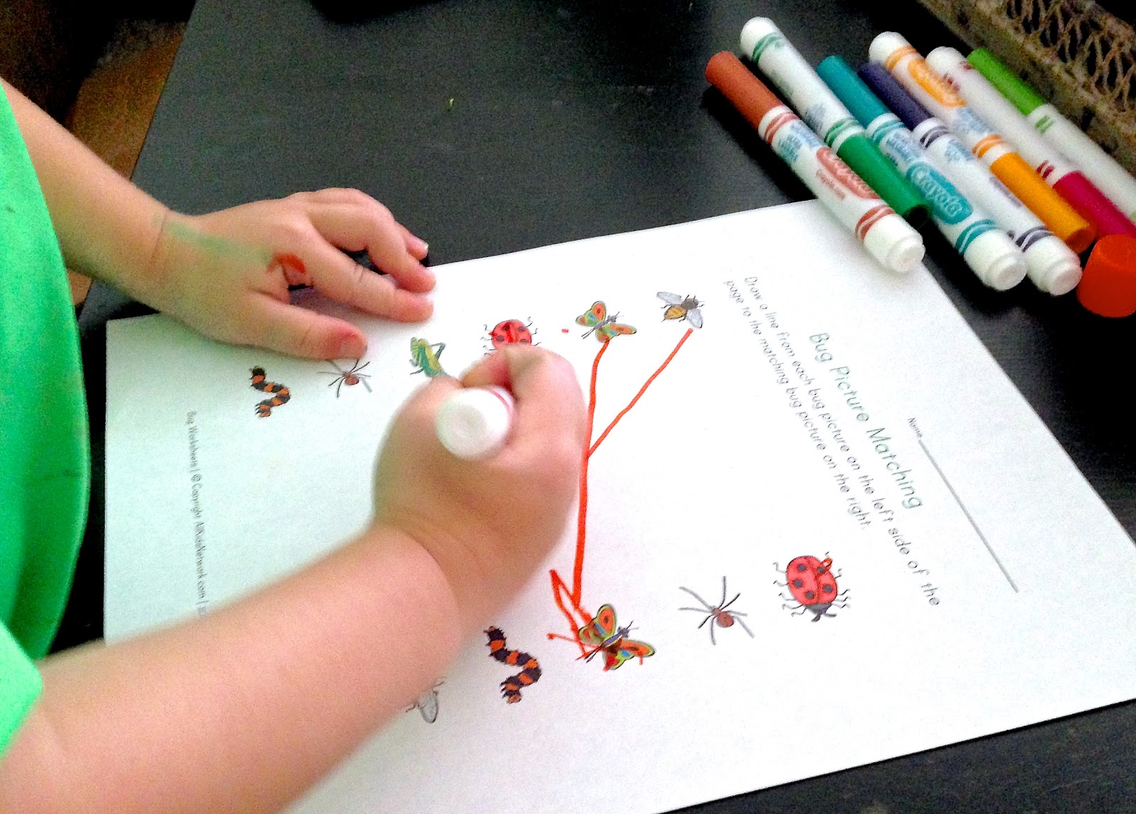 All Seasons Sweet to Me: It's a Bug Eat Bug World Out there!