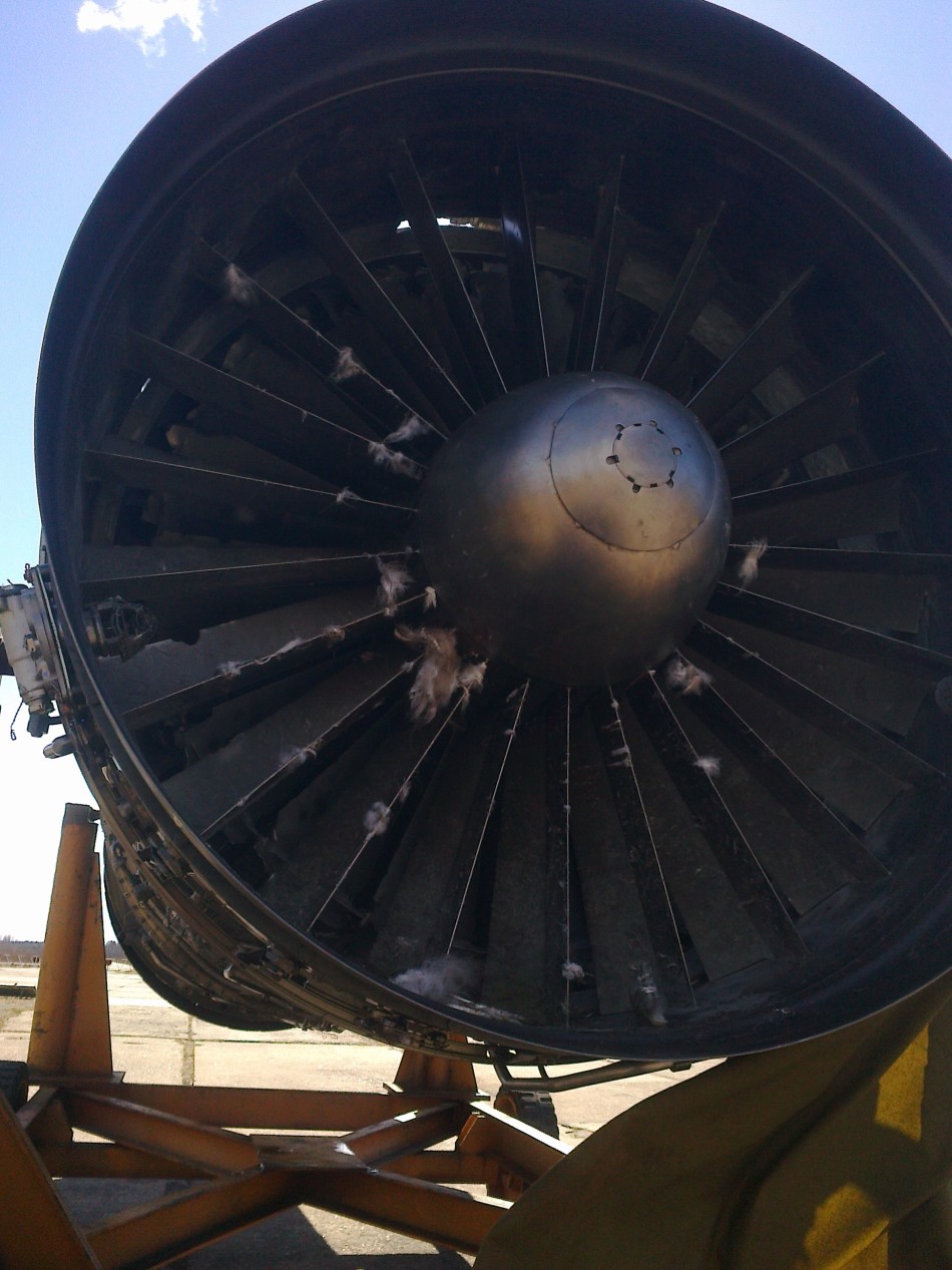 Asian Defence News: Testing for bird hits on Russian AL-31 aircraft engine