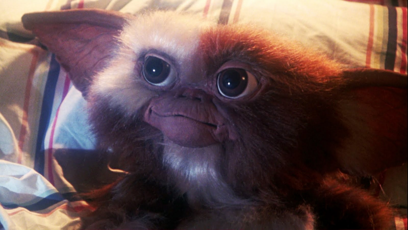 SOSPECHOSOS CINÉFAGOS: GREMLINS (1984)
