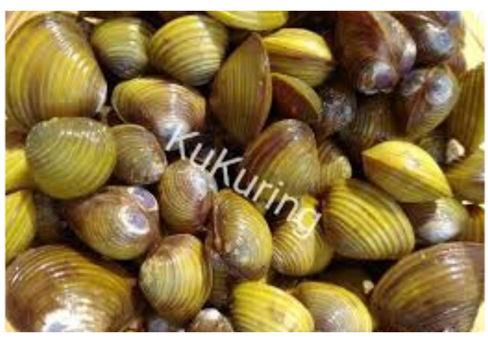 Manfaat Makan Remis Untuk Mengobati Penyakit - Agung Hostkey