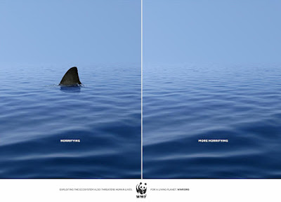 Advertising, Writing, & Production: WWF Produces Powerful Ads