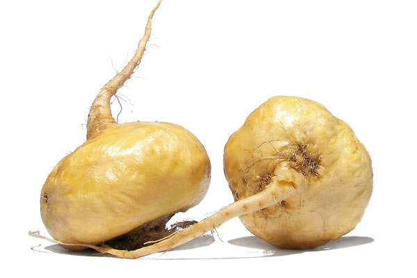 What is Maca Root: What is Maca Root?
