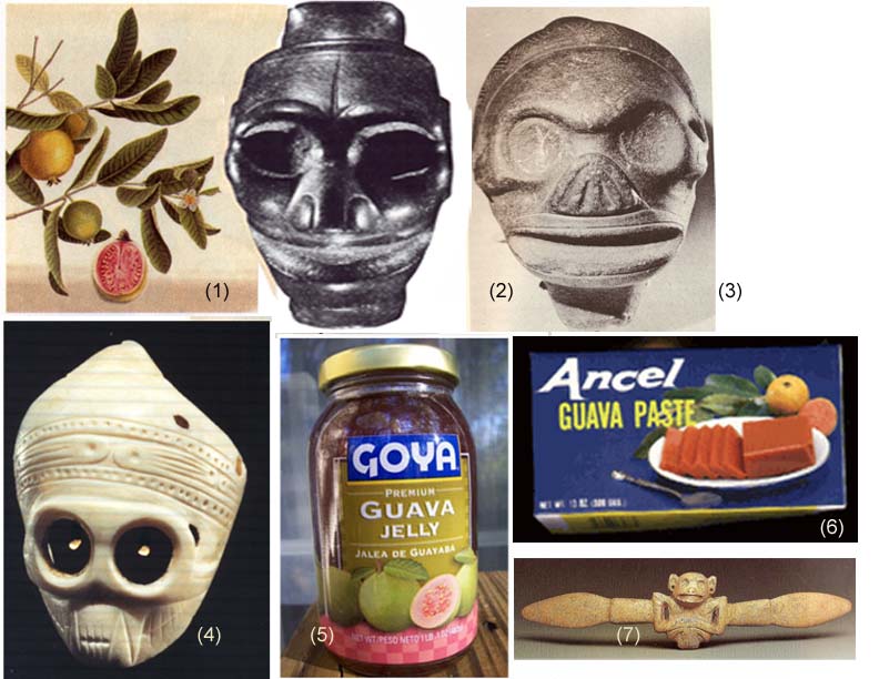 Yamaye: January 2019