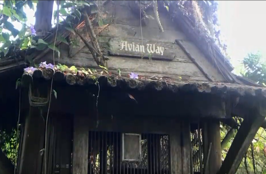 Abandoned Disney Discovery Island