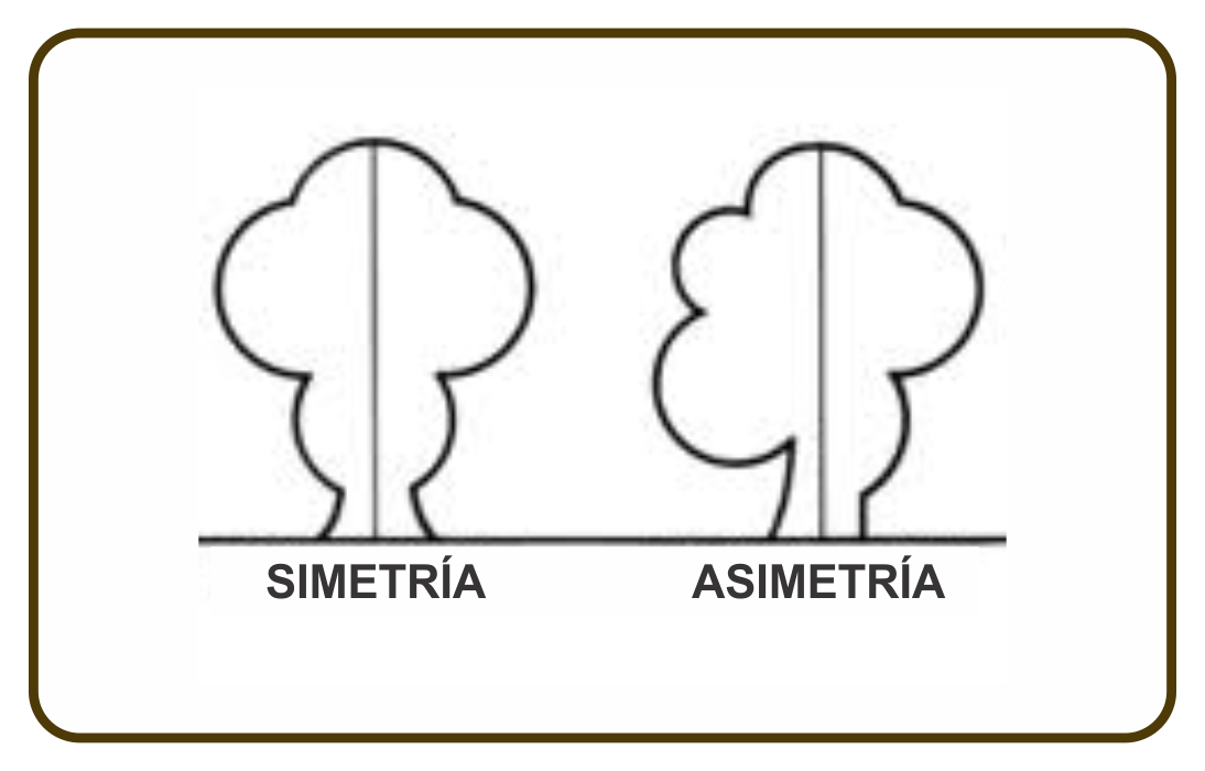 Fundamentos Diseño Gráfico: Composición: Punto áureo, Simétrica, Asimétrica