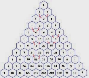 Illustrating science - illustrer les sciences: PASCAL'S TRIANGLE AND ...