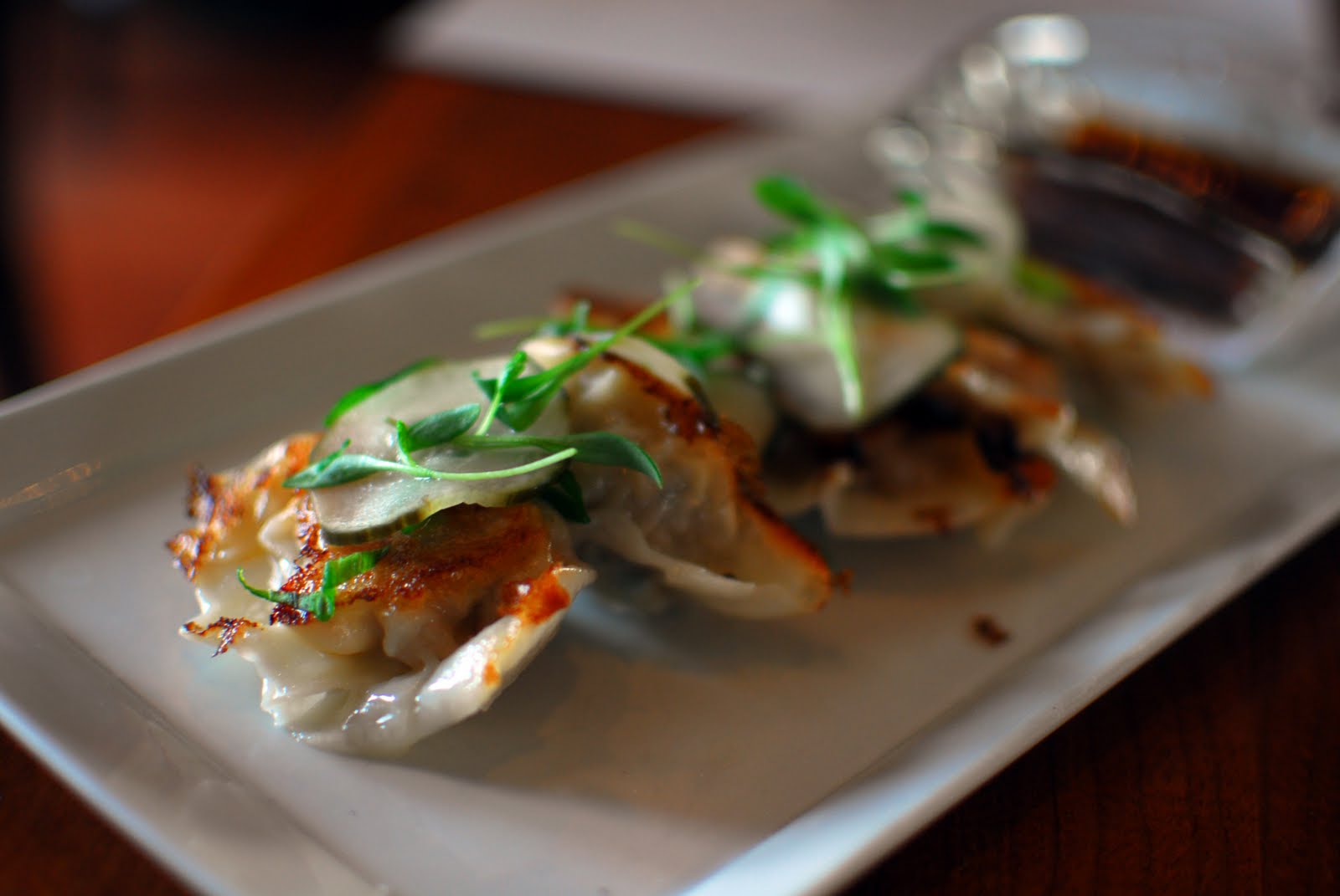 Bunny and Brandy's Brunchtime Blog: Takashi or Noodle Oggling