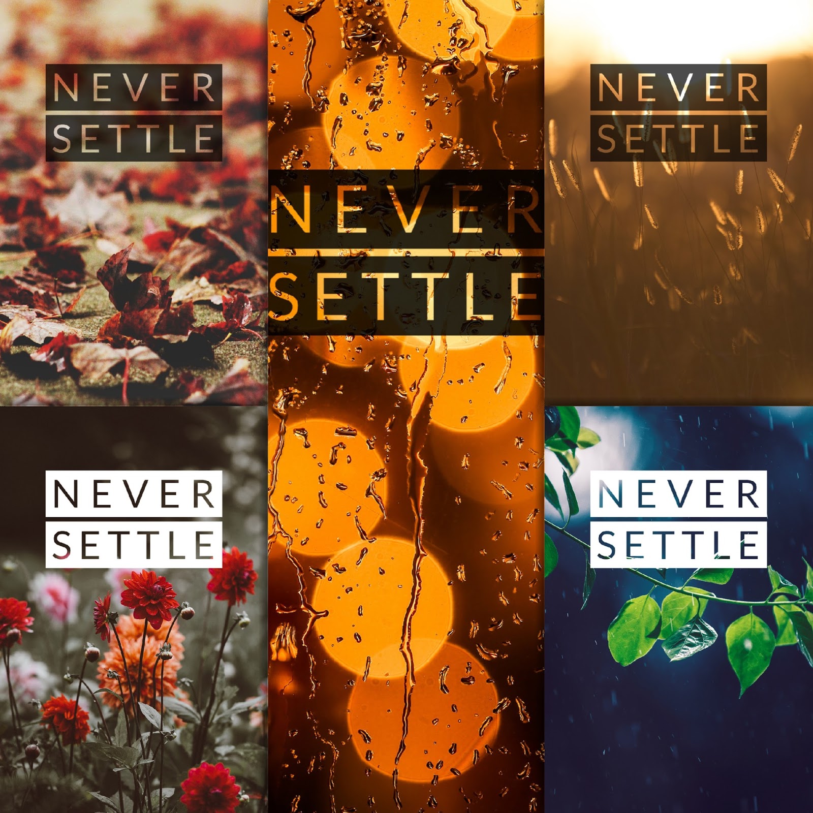 Never Settle Wallpaper Pack 23 (30 Wallpapers) NOVEMBER 2017 - OnePlus ...