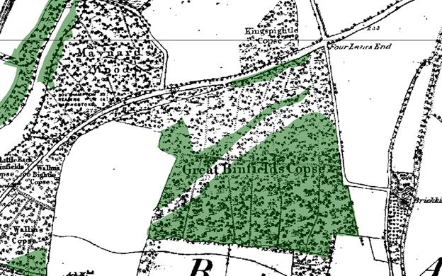Landmark Information Group: Plotting the UK’s Ancient Woodlands