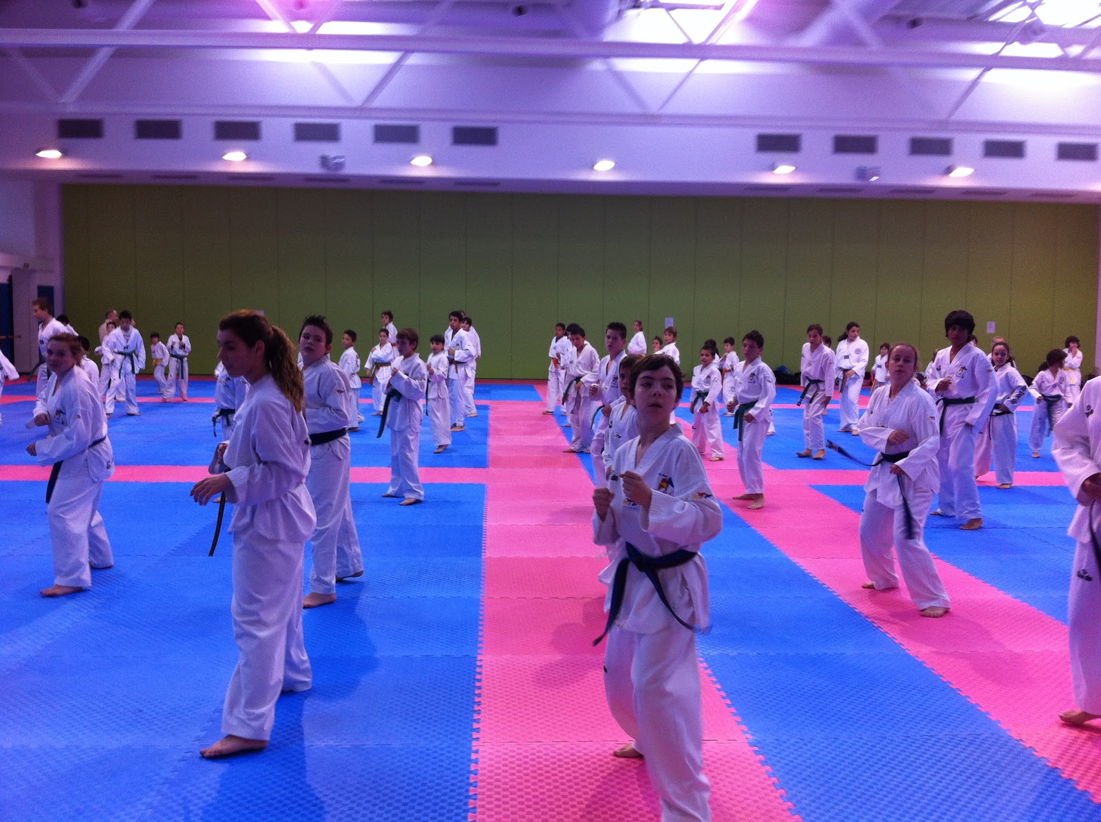 CONFRONTACION EN EL CAR | GymStudio Fran Martin - Tu gimnasio en El ...