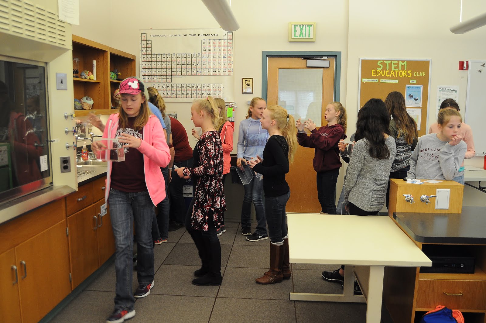 Dr. Emily A. Kane: Our first STEM friday using the guppy kits