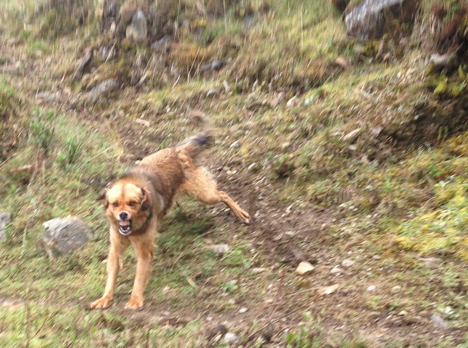 Cusco and Machu Picchu 2014