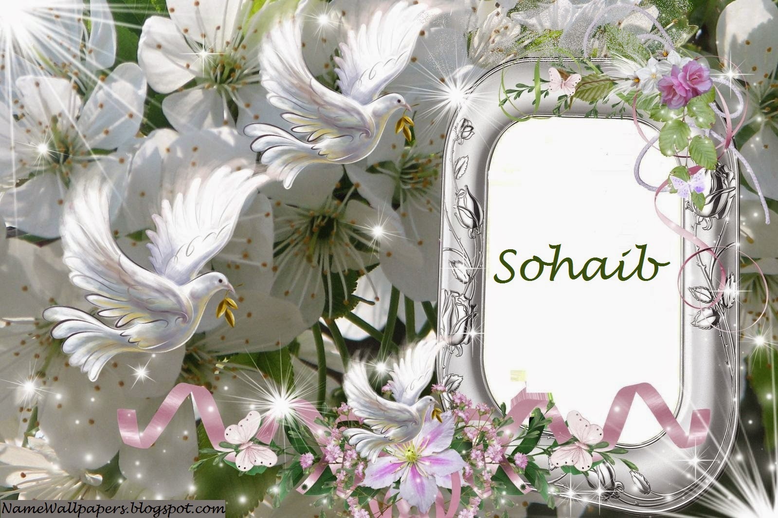 Sohaib Name Wallpapers Sohaib ~ Name Wallpaper Urdu Name Meaning Name ...