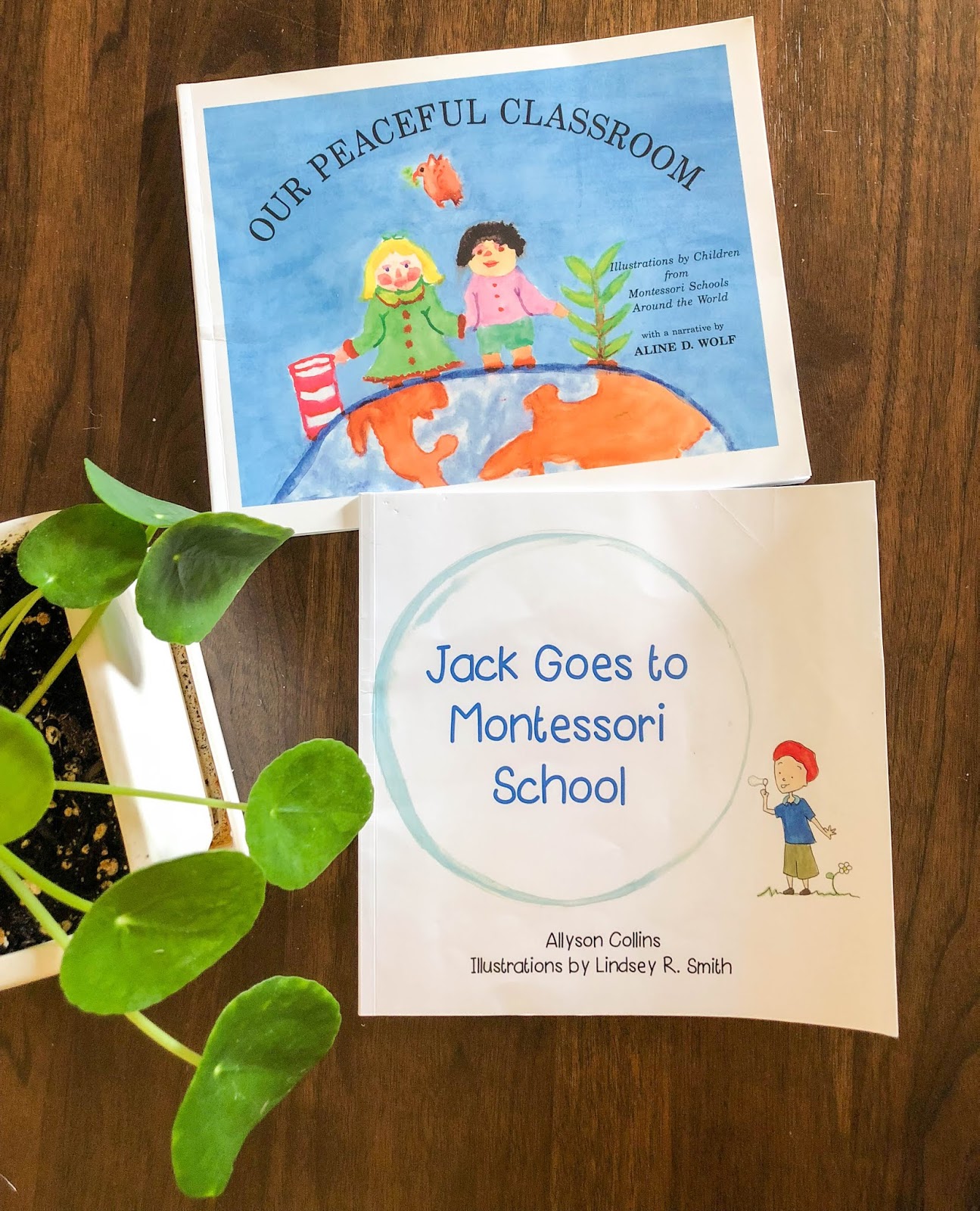 A Couple Books about Montessori for Children