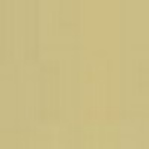 FASHIONISTA LIFE: BLOCK DE COLORES