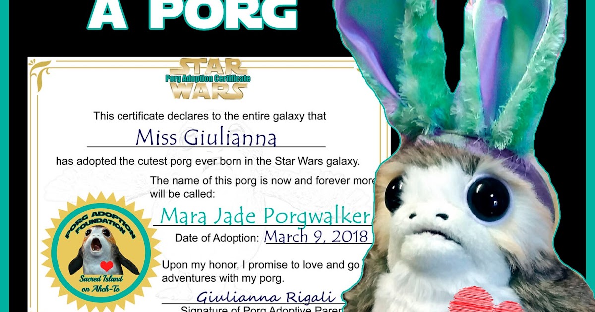 Porg Adoption Certificate - Star Wars Porgs - The Star Wars Mom ...
